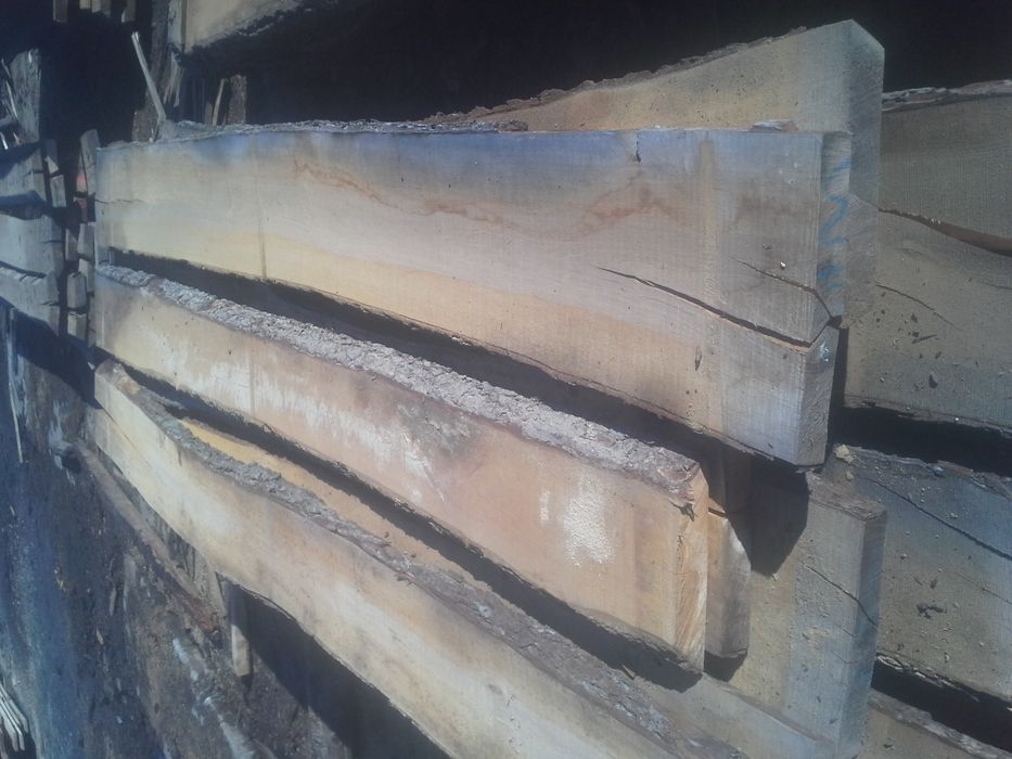 Tarcica Olchowa - OLX.pl