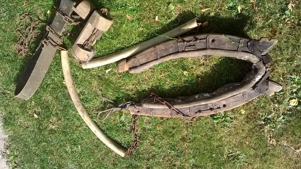 Chomąto dla wołu, Chomonto, Homonto, Homąto uprząż dla wołu Kluczbork ...