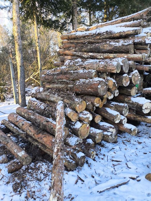 Drewno kominkowe opałowe sosna, dąb,olcha, brzoza,akacja transport ...