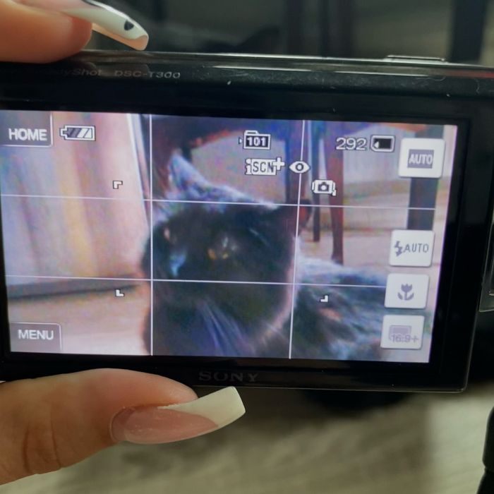 Фотоапарат sony cyber-shot dsc-t300: 4 300 грн. - Цифрові фотоапарати Ксаверівка Друга на Olx