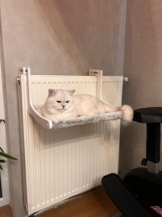 Гамаки, лежанки для кота на батарею, радіатор: 600 грн. - Зоотовари ...