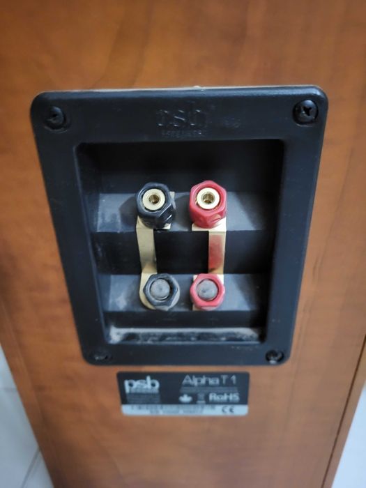 Kolumny głośnikowe PSB Alpha T1 Tower - Głośniki dwa kolce Komplet Szczecin Pogodno • OLX.pl