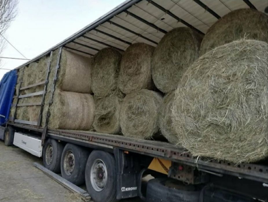Siano Sloma w balotach / bale / bele / wlasny transport Wadowice • OLX.pl