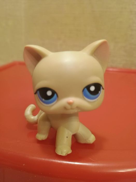 Littlest pet shop kot shorthair Pop #228 figurka LPS cat shorthair ...