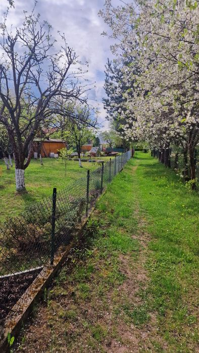 Działka ROD Dojlidy Białystok Kawaleryjskie • OLX.pl