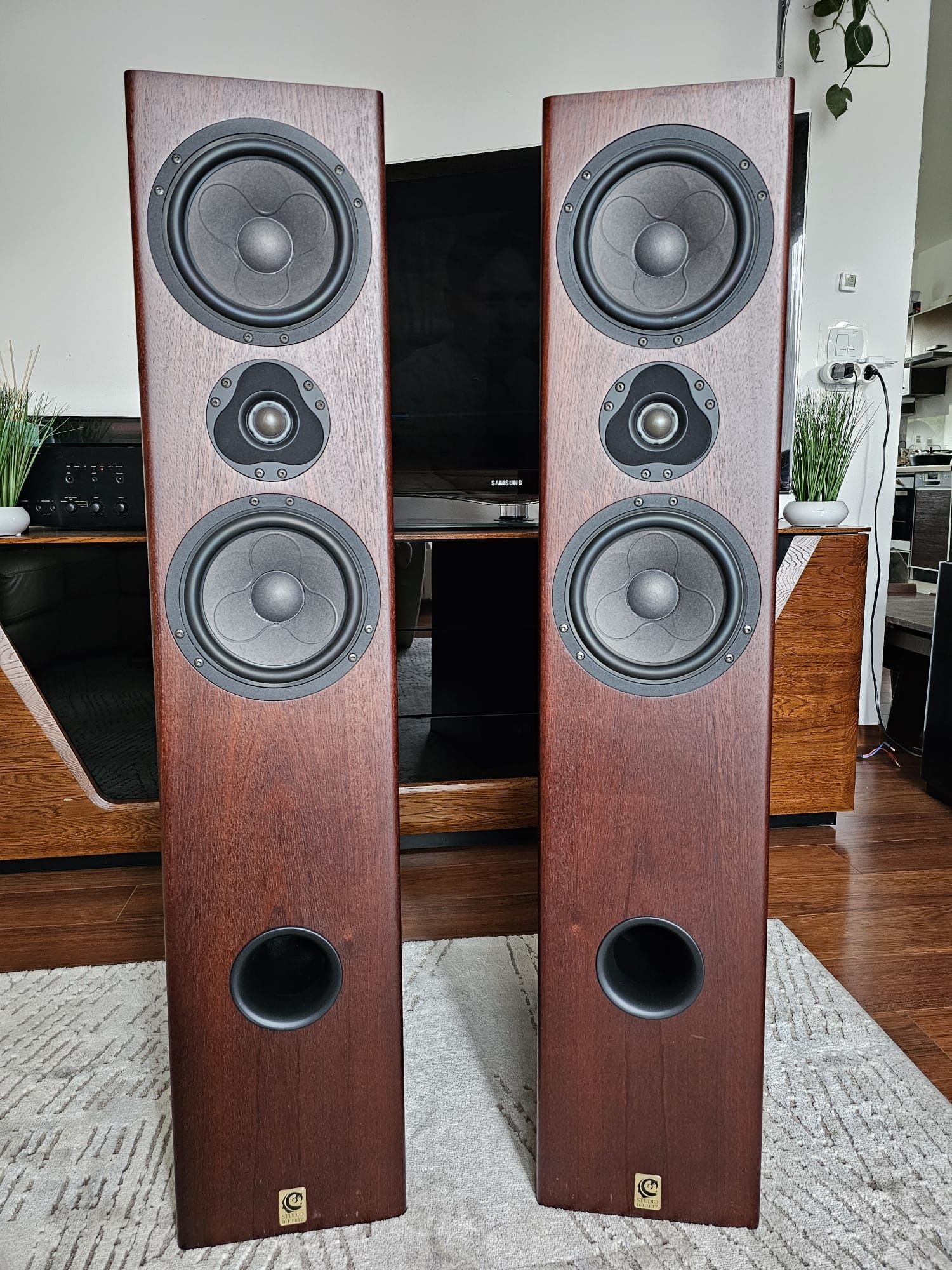 Kolumny Studio 16 Hertz Aries Plus Bielsko-Biała • OLX.pl
