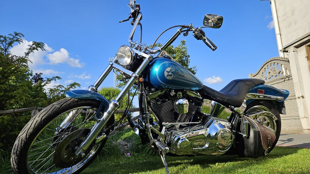 Harley Davidson FXSTC Softail Evo Opalenica • OLX.pl