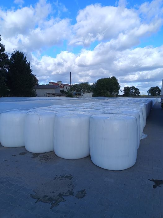 Kukurydza w belach oraz wysłodki transport cały kraj Łowicz • OLX.pl