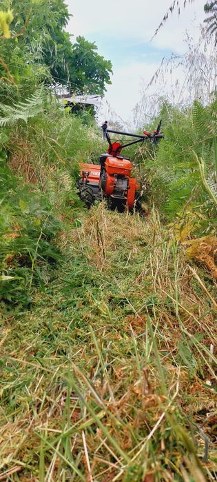 Triturador de martelos like wmx663 Oliveira Do Hospital E São Paio De ...