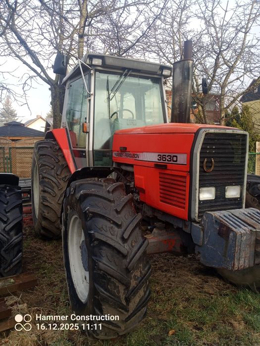 Massey Ferguson 3630 Jelenia Góra Jagniątków • OLX.pl