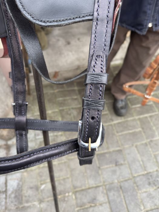 Kantar z okularami Koluszki • OLX.pl