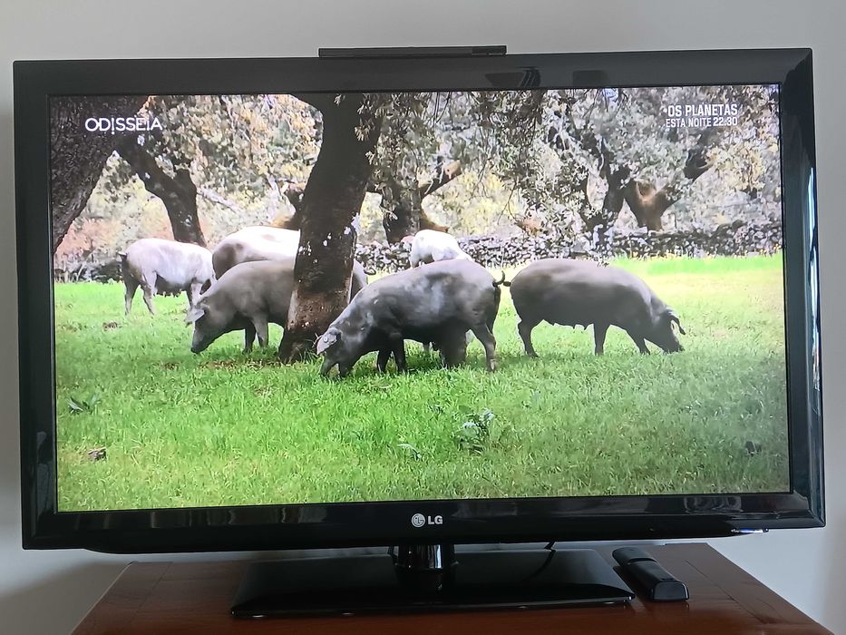 TV LG LCD 42 LD450 Carcavelos E Parede • OLX.pt