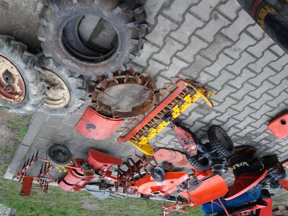 Traktorek, dzik Terra Vari, Gutbrod, mf-70 Sulechów • OLX.pl