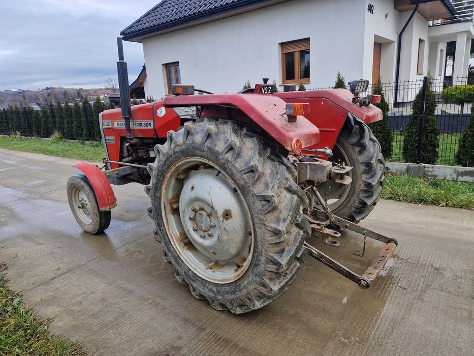Massey Ferguson Mf255 Rok 1988 Oryginał 1900mth szanowany Korzenna • OLX.pl