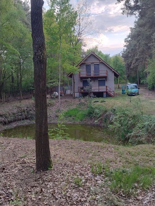 Dom nad jeziorem Lubsin • OLX.pl
