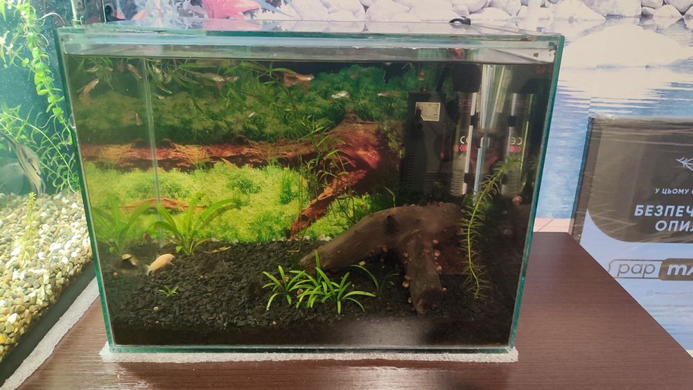 Акваріум з рибками на 20 літрів 1 000 грн Акваріумістика Коростень на Olx