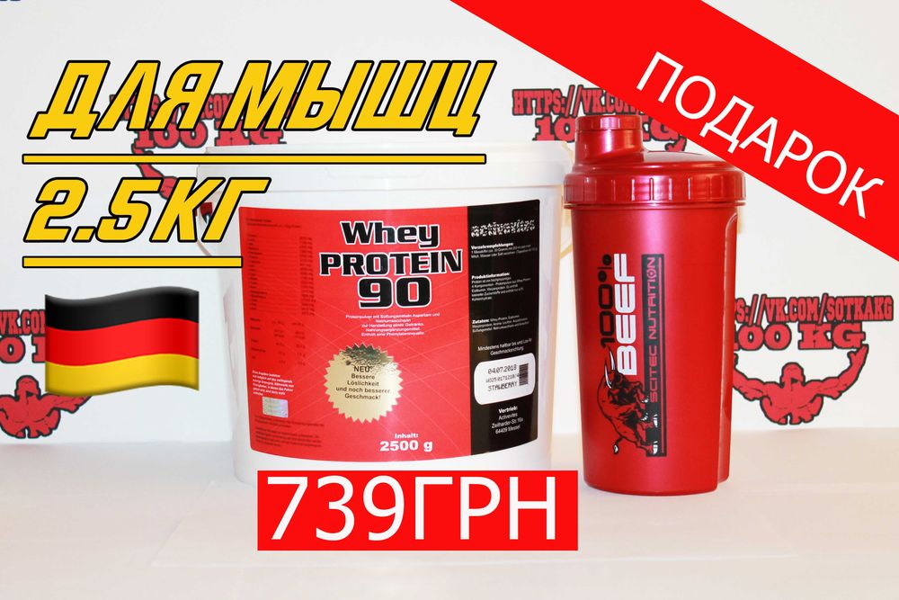 Для МЫШЦ! Протеин Activevites 2.5кг Whey Protein 90+ПОДАРОК! Есть ВСАА ...