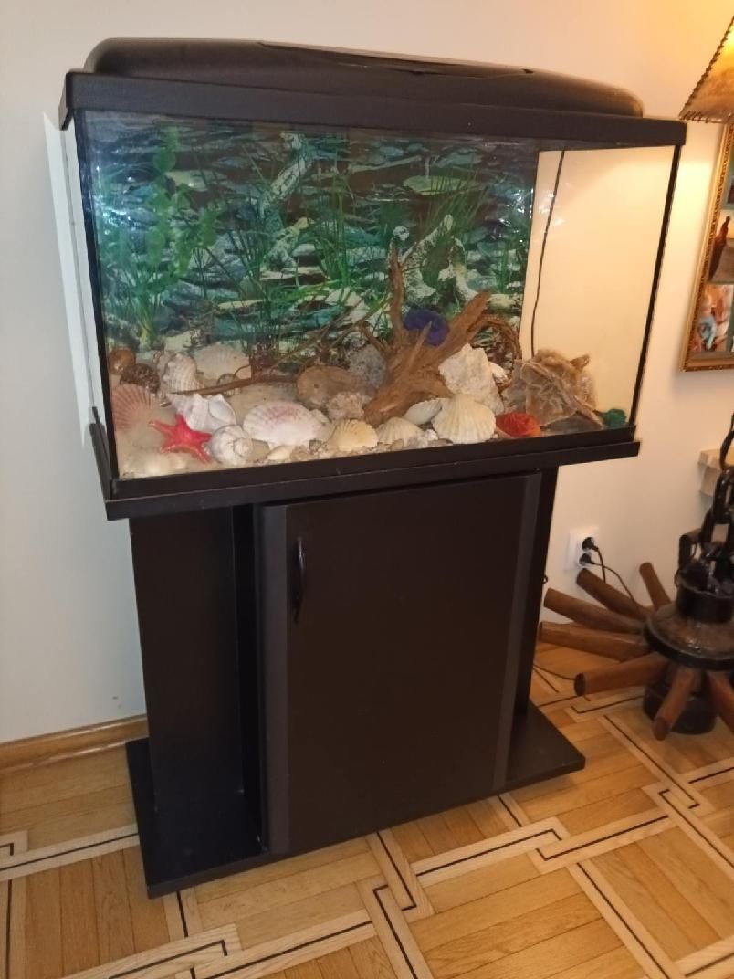 Akwarium 120 litrów Siedlce • OLX.pl