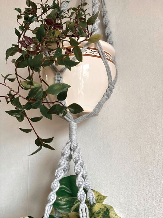 Кашпо для квітів в техніці макраме 200 грн Кімнатні рослини Мукачеве на Olx