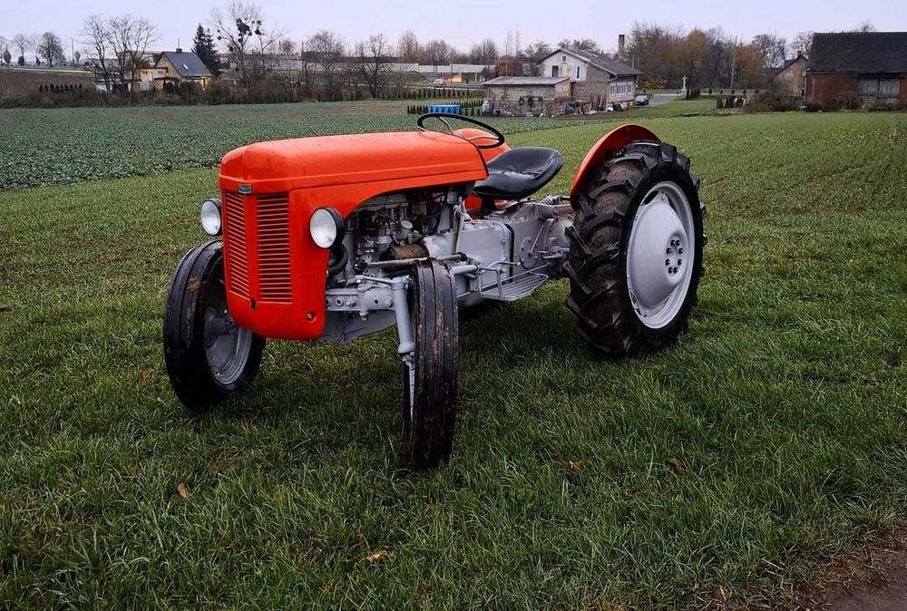 Ferguson tea 20 Szonów • OLX.pl