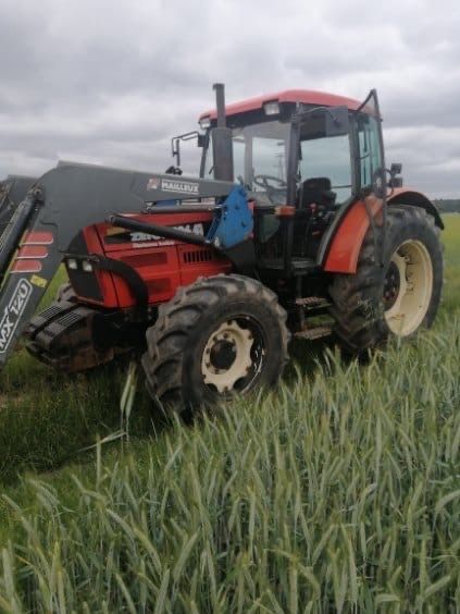 Zetor 10641 , ciągnik rolniczy, traktor Luboszewy • OLX.pl