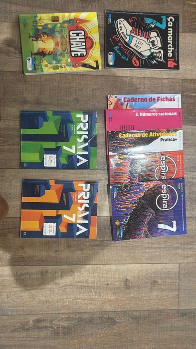 Manuais escolares 7 ano e livro de leitura Leandro Rei da Helíria ...