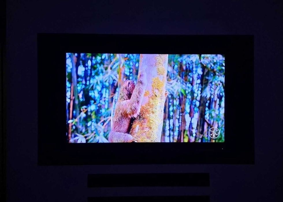 Tv LG 50 polegadas Pombal • OLX.pt