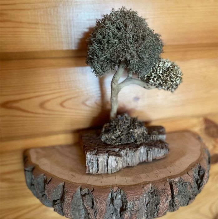 Полиця полка навісна лофт зі зпилу дерева масиву слебу 400 грн Інші товари для дому Могилів