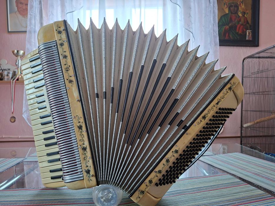 Scandali akordeon Brzozowica Duża • OLX.pl