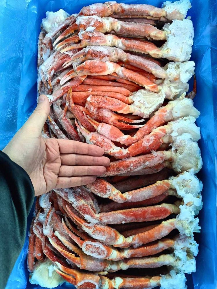 Фаланги сніжного краба: 900 грн. - Продукти харчування / напої Рівне на Olx