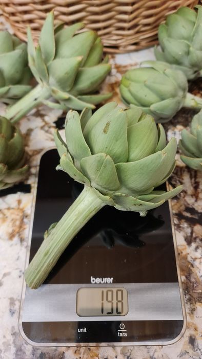 Артишок свіжий плоди бутони квіти та листя 199 грн Інші товари для дому Вінниця на Olx