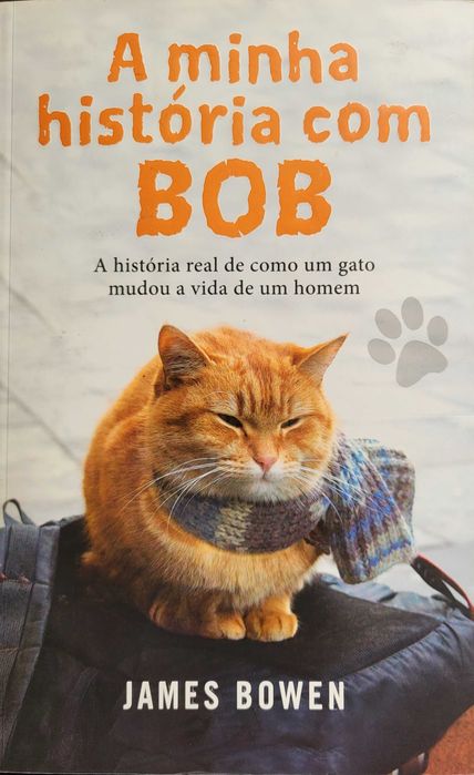 A minha história com Bob Santa Iria De Azoia, São João Da Talha E ...