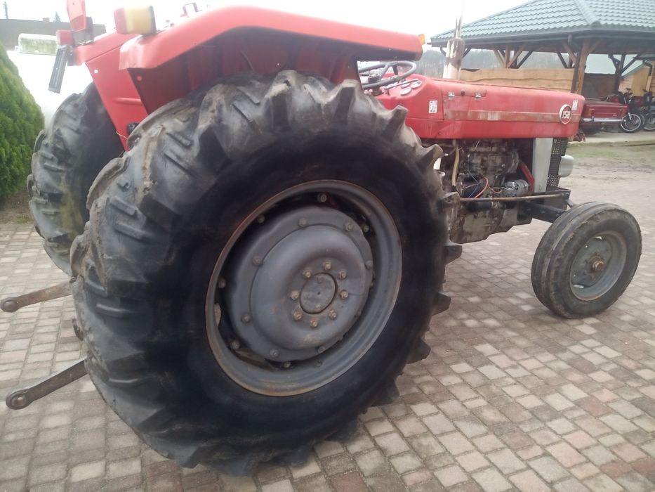 Massey Ferguson 158 Cielądz • OLX.pl