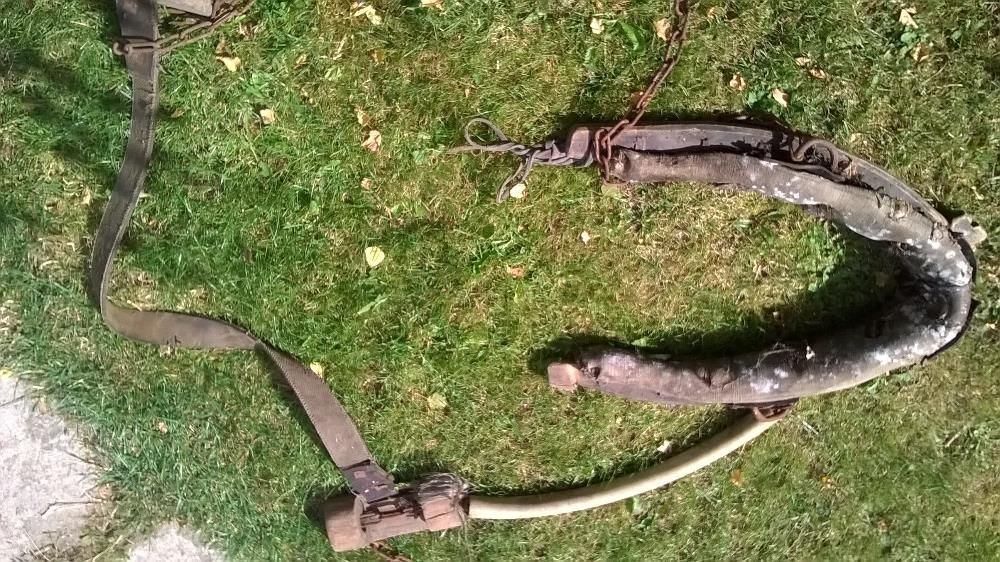 Chomąto dla wołu, Chomonto, Homonto, Homąto uprząż dla wołu Kluczbork ...