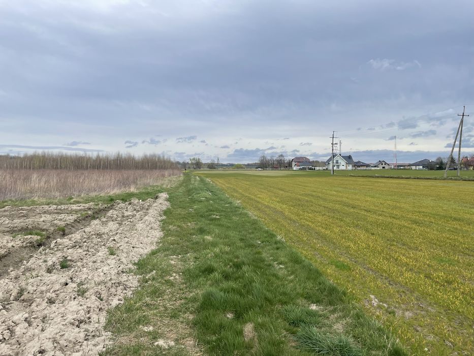 Straszęcin k. Dębica -4 działki 12a -WZ Straszęcin • OLX.pl