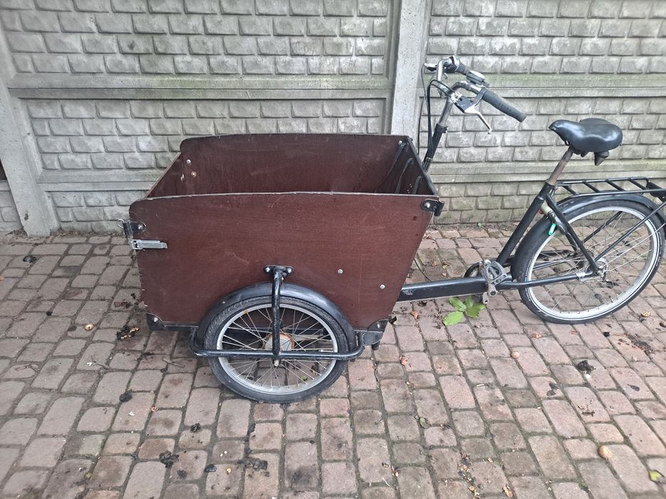 Rower riksza transportowy Koźmin Wielkopolski • OLX.pl