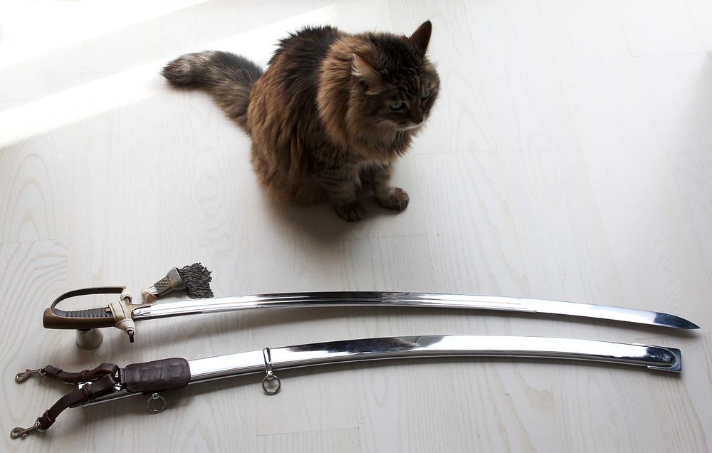 Szabla polska Wifama Łódź 1981 wz 76 WP HONOR I OJCZYZNA LWP oryginał ...