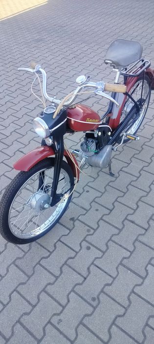 Piekny Komar 2320 Chrośnica • OLX.pl