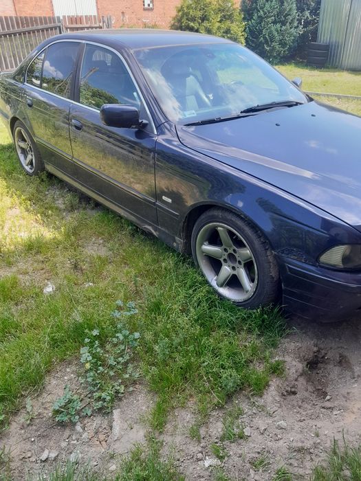 Bmw e39 3.0d 240km polift Godzięcin • OLX.pl