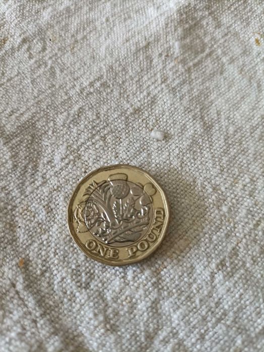 Moeda One pound Elizabeth II 2017 Vilar de Andorinho • OLX Portugal