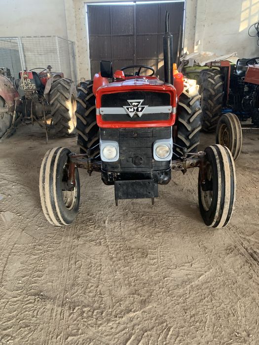 Massey fergunsun 135 impcavel Maiorga • OLX.pt