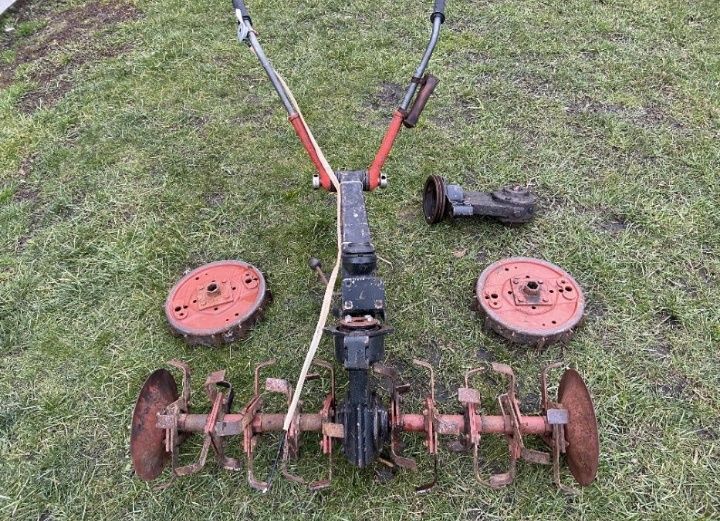 Traktorek, dzik Terra Vari, Gutbrod, mf-70 Sulechów • OLX.pl