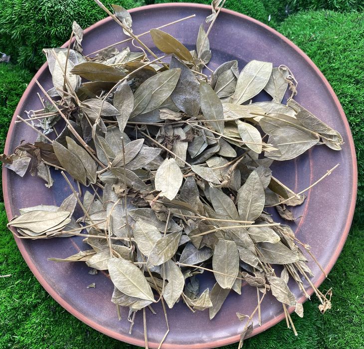 Барвінок листя, барвінок трава, барвинок: 170 грн. - Продукти ...