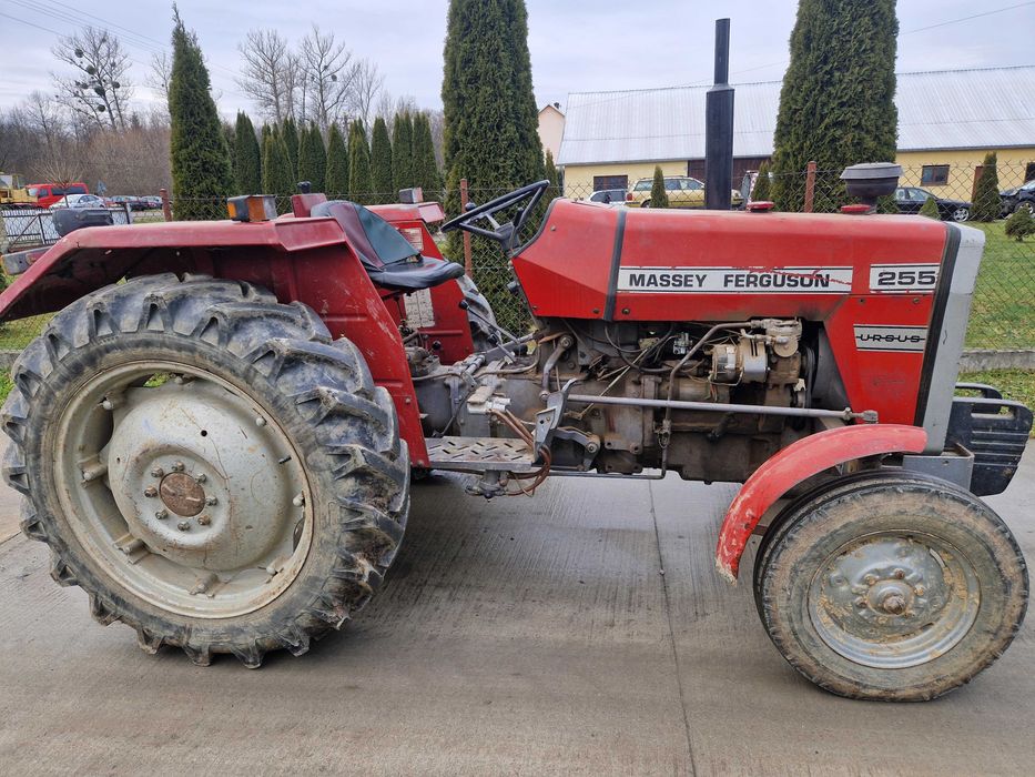 Massey Ferguson Mf255 Rok 1988 Oryginał 1900mth szanowany Korzenna • OLX.pl