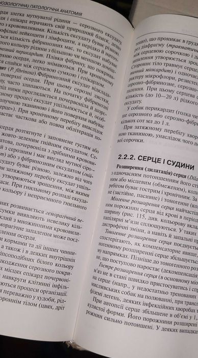 Патологічна анатомія тварин Урбанович, Потоцький: 800 грн. - Книги ...