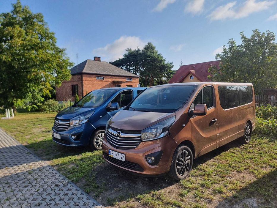 Wypożyczalnia busów, wynajem busa, bus 9 osobowy Jelnica • OLX.pl