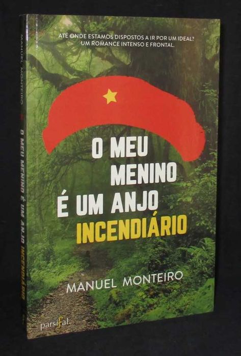 Livro O Meu Menino é um Anjo Incendiário Manuel Monteiro Parque das ...