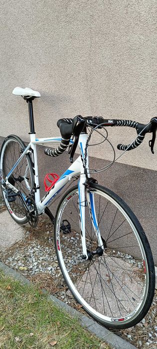 Rower szosowy BH Sphene Brzeziny • OLX.pl