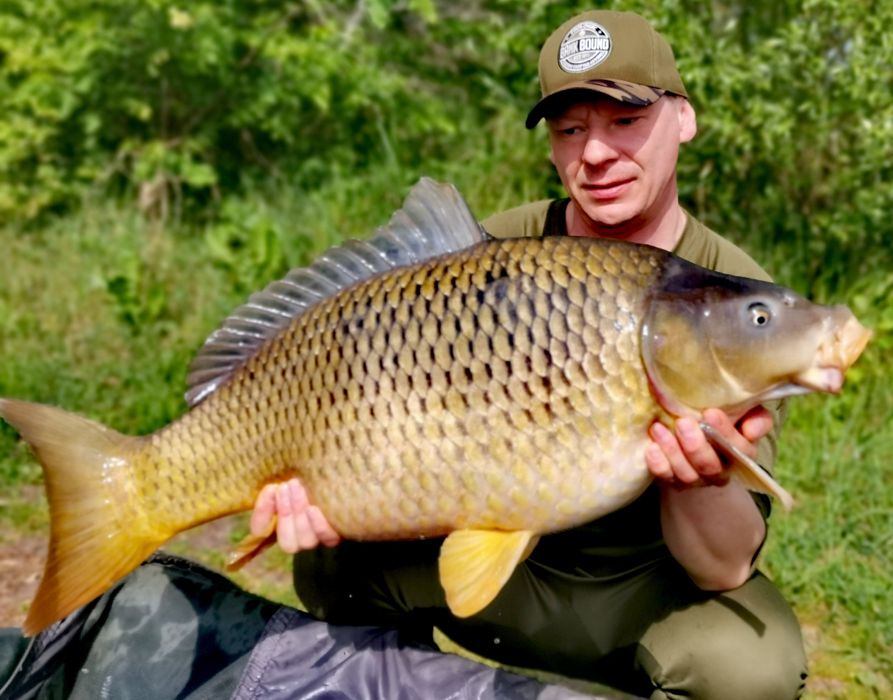 Kulki proteinowe Zielone Oko 20mm ochotka & insect Gniezno • OLX.pl