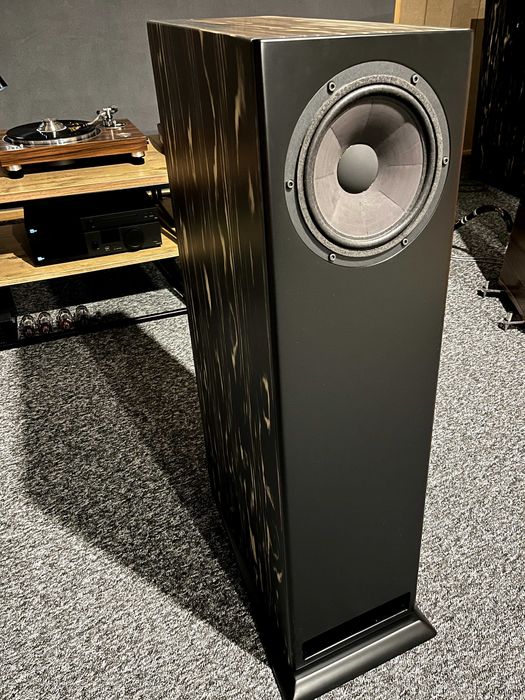 Kolumna podłogowa - Davis Acoustics MV One Master (za parę) Garwolin ...